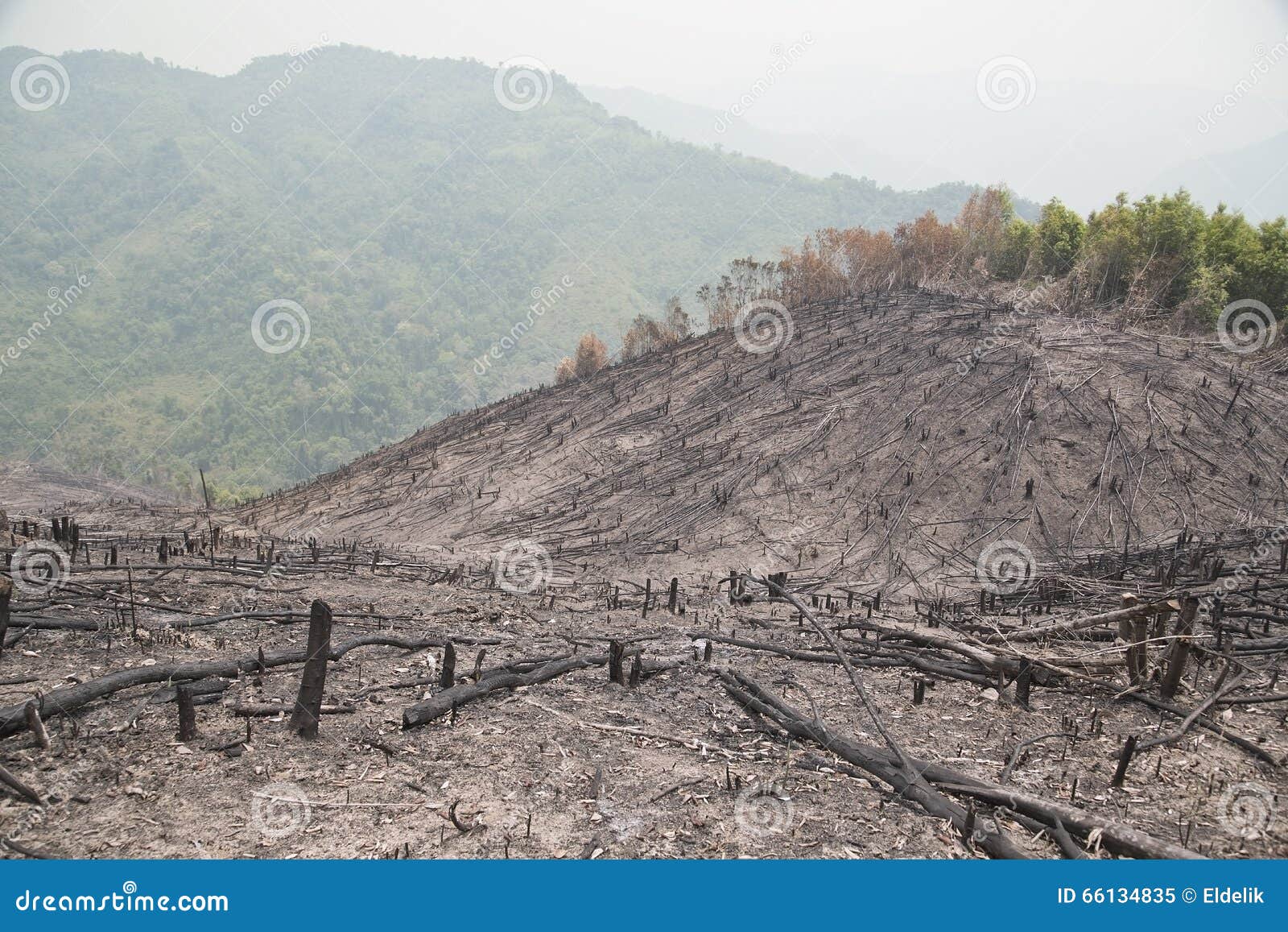 Deforestation, after Forest Fire, Natural Disaster, Laos Stock Image ...