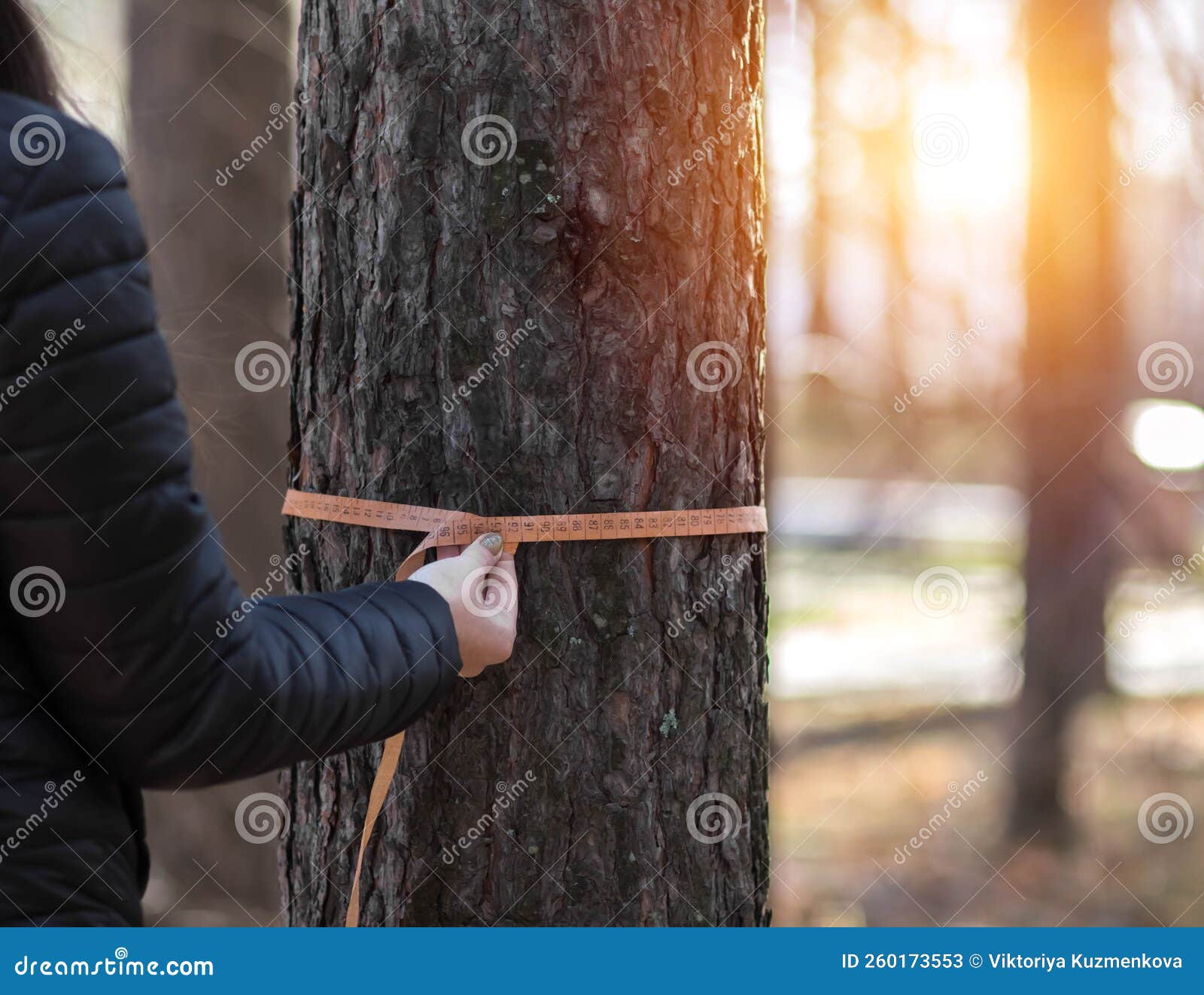 Deforestation and Forest Valuation. Measuring the Circumference of a ...