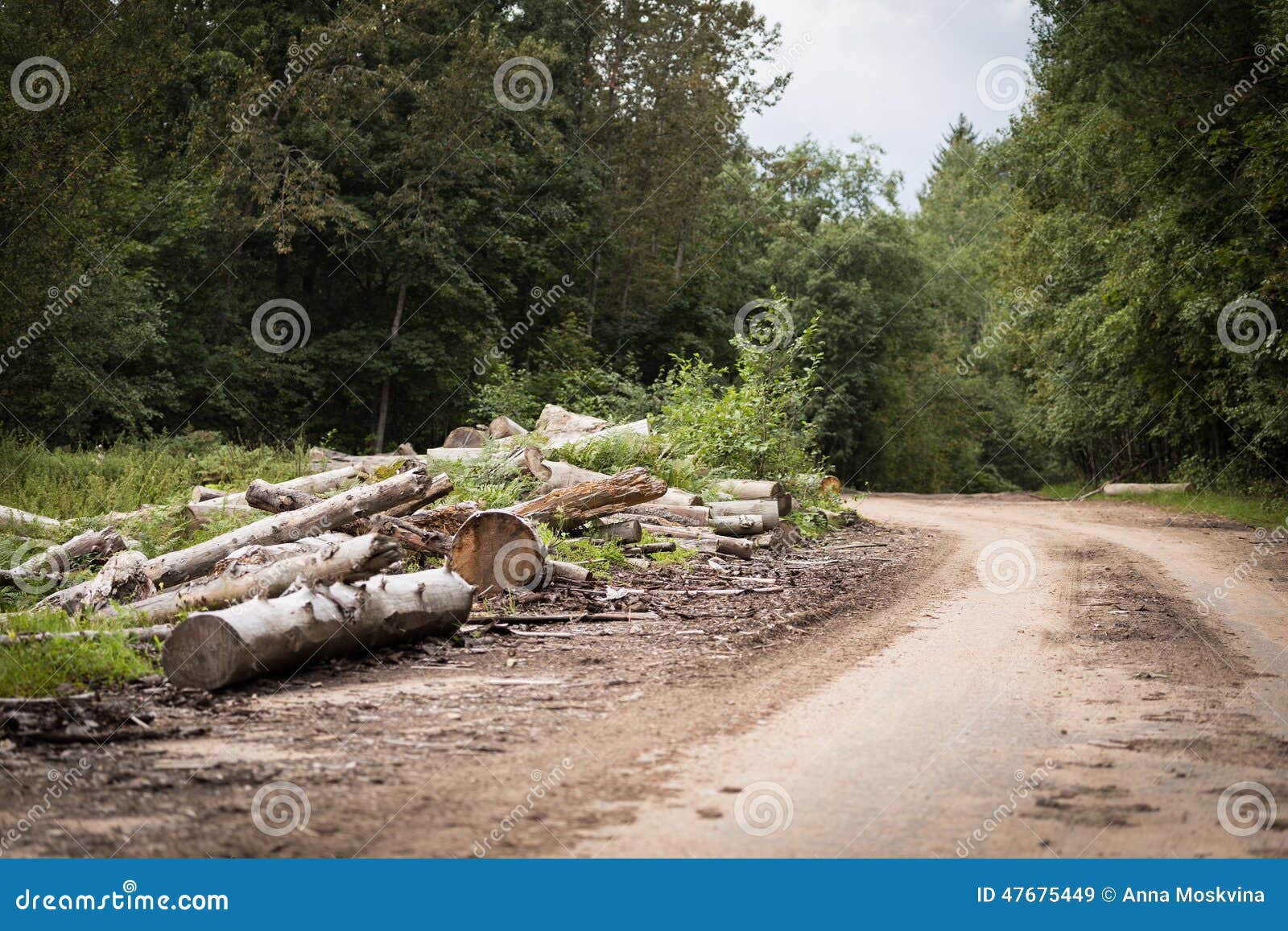 Deforestation stock image. Image of pollution, outdoors - 47675449