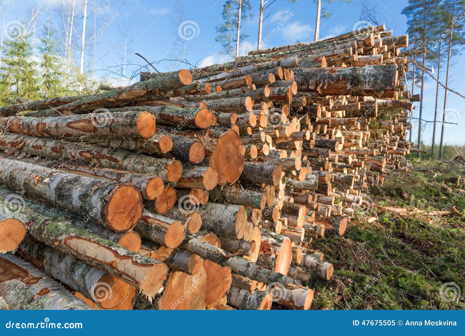 Deforestation stock image. Image of color, industry, damage - 47675505