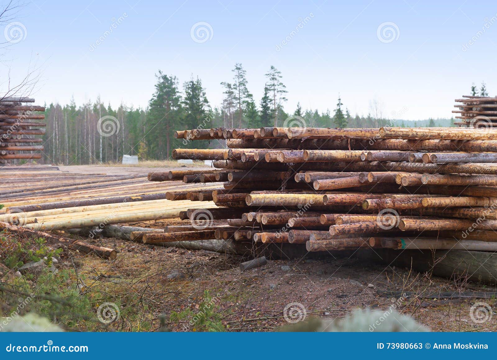 Houses In Deforestation On The Mountain Border Of Myanmar Stock ...