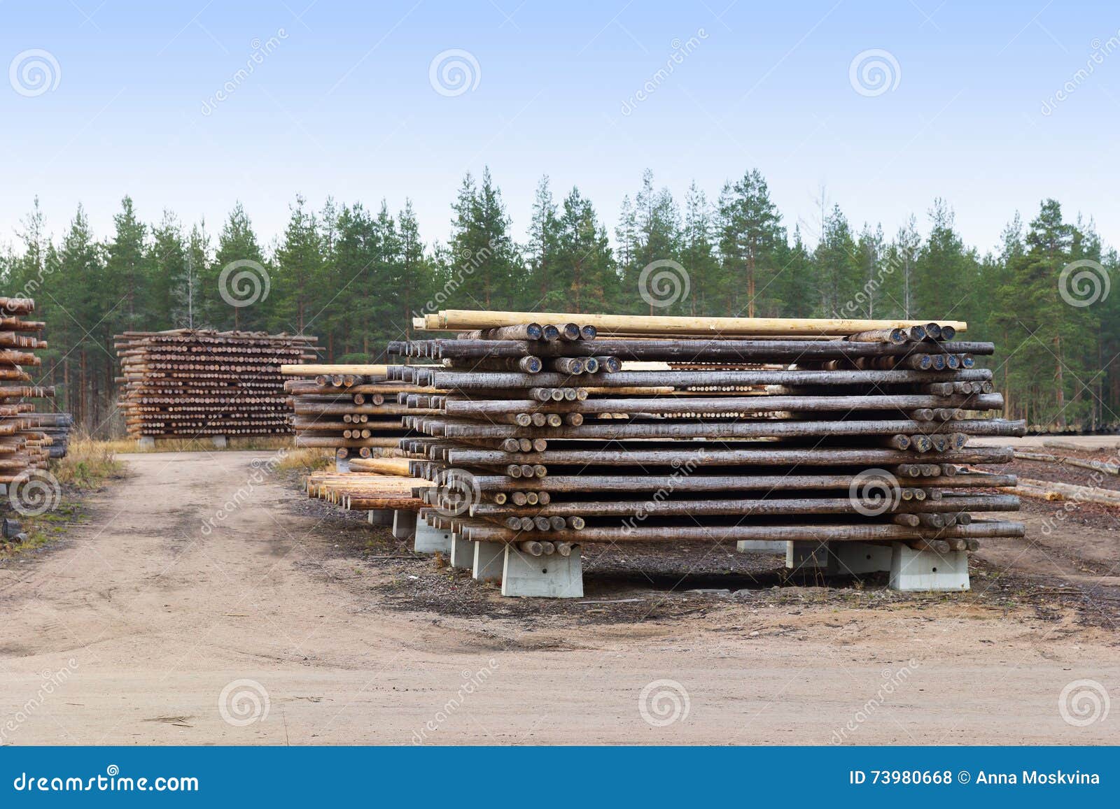 Deforestation Forests To Build New Houses Stock Photo - Image of pine ...