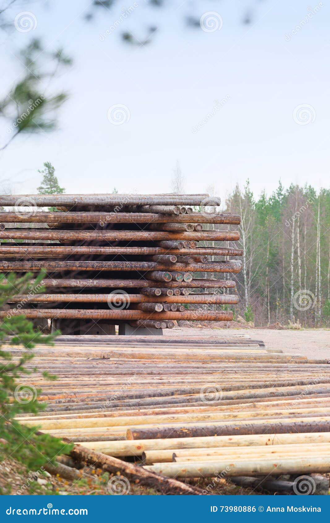 Houses In Deforestation On The Mountain Border Of Myanmar Stock ...