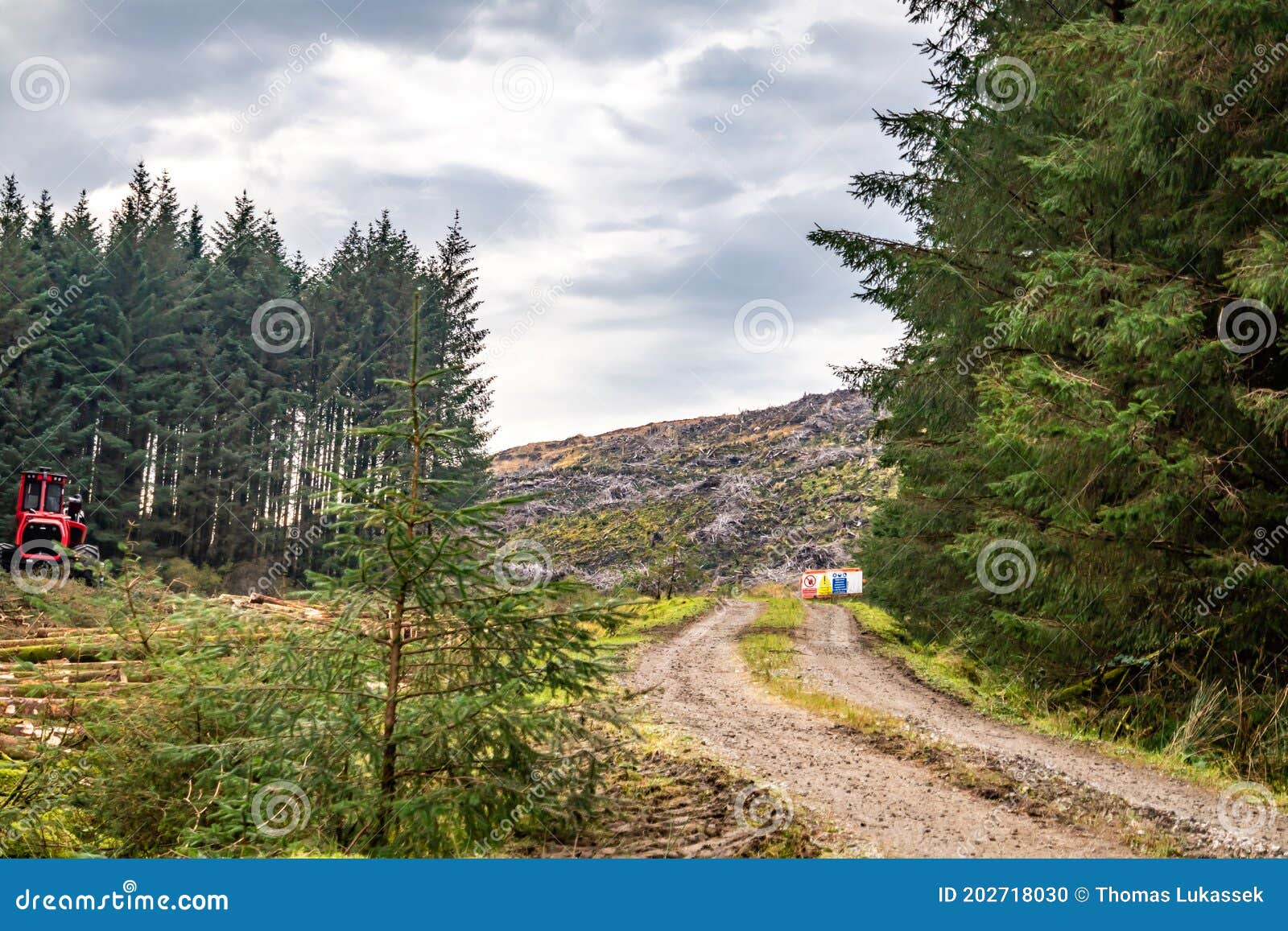 Deforestation Giong on in Donegal - Ireland Stock Photo - Image of ...