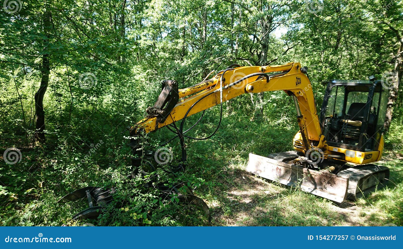 Deforestation. JCB Digger in a Forest Editorial Photography - Image of ...