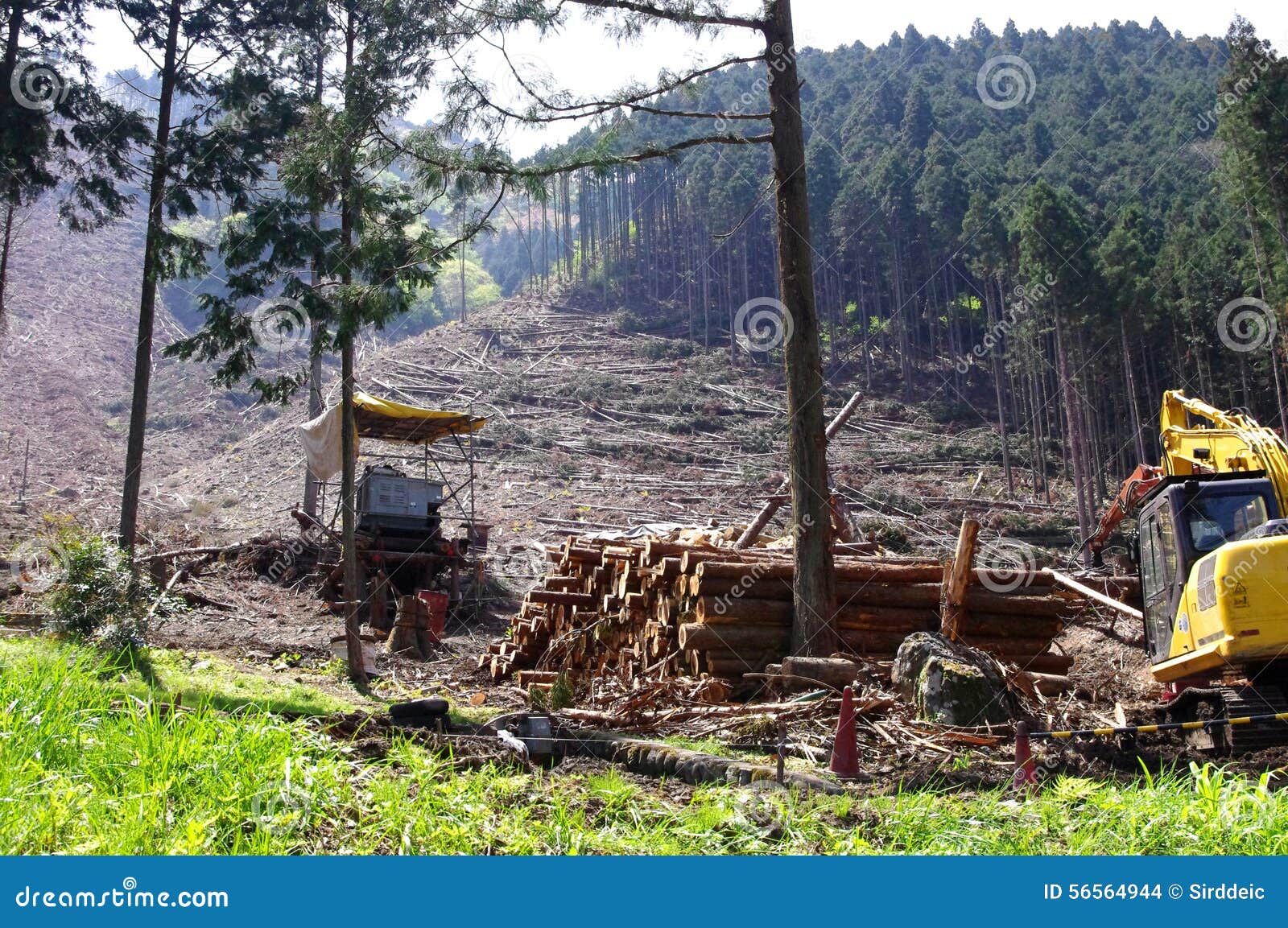 Deforestation stock photo. Image of nature, planet, wood - 56564944