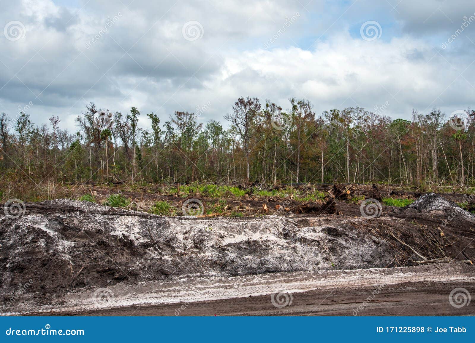Deforestation of Land for Development Stock Photo - Image of ...