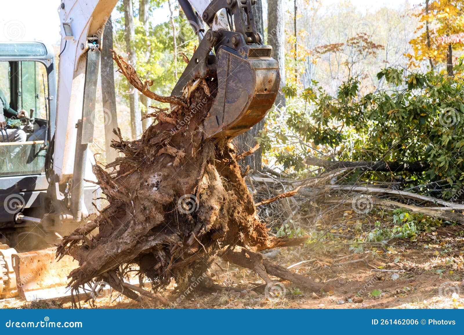 During Deforestation Landscaping Work the Ground is Prepared with a ...