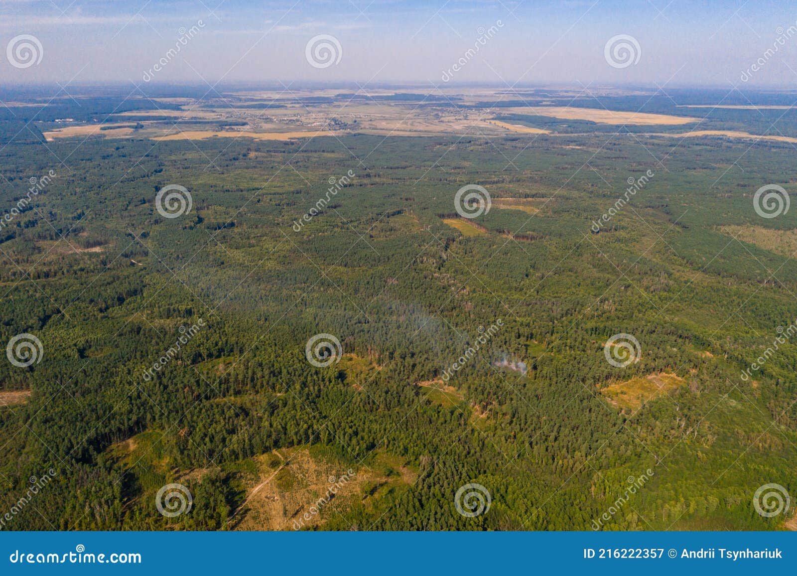 Deforestation, Large-scale Deforestation, Destruction of the ...