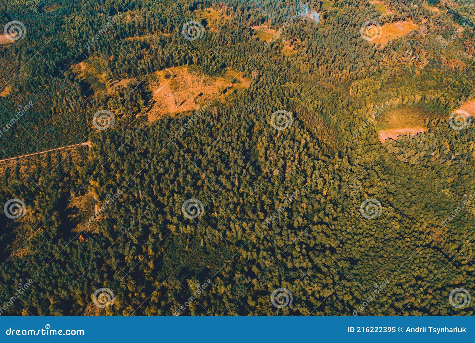 Deforestation, Large-scale Deforestation, Destruction of the ...