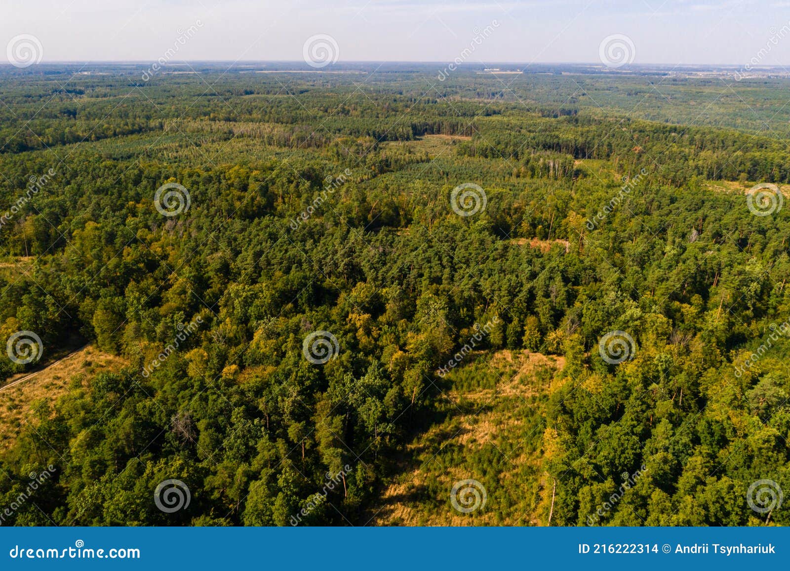 Deforestation, Large-scale Deforestation, Destruction of the ...