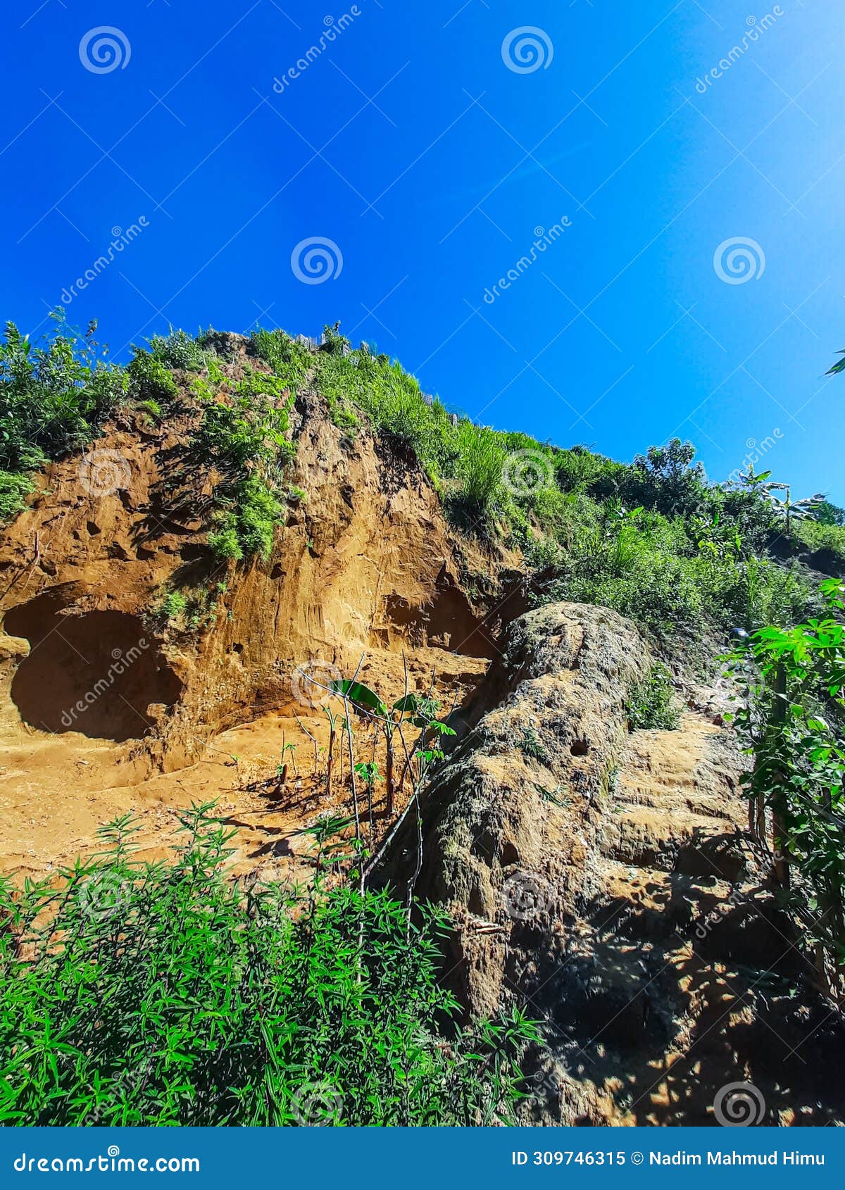 Deforestation of the Mountain. Environmental Problem. Rain Forest ...