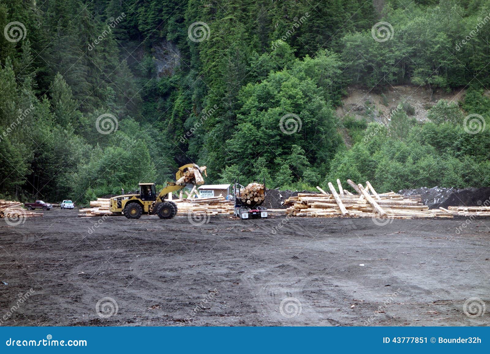 Deforestation in Northern Canada. Editorial Photo - Image of canada ...