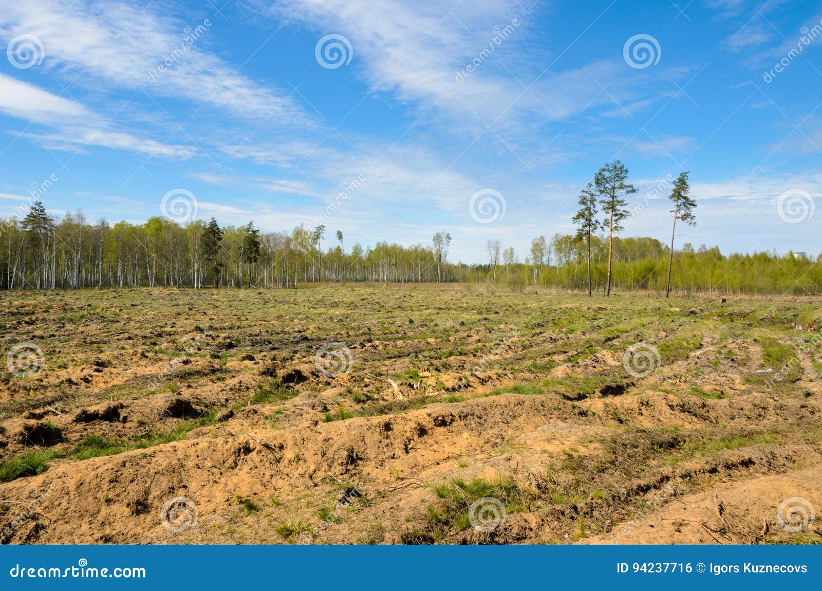Deforestation. stock photo. Image of deforestation, stump - 94237716
