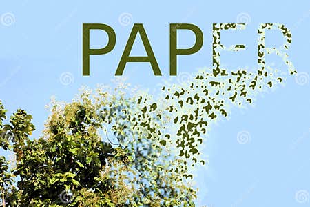 Deforestation for Paper Making Stock Image - Image of lumber, falling ...