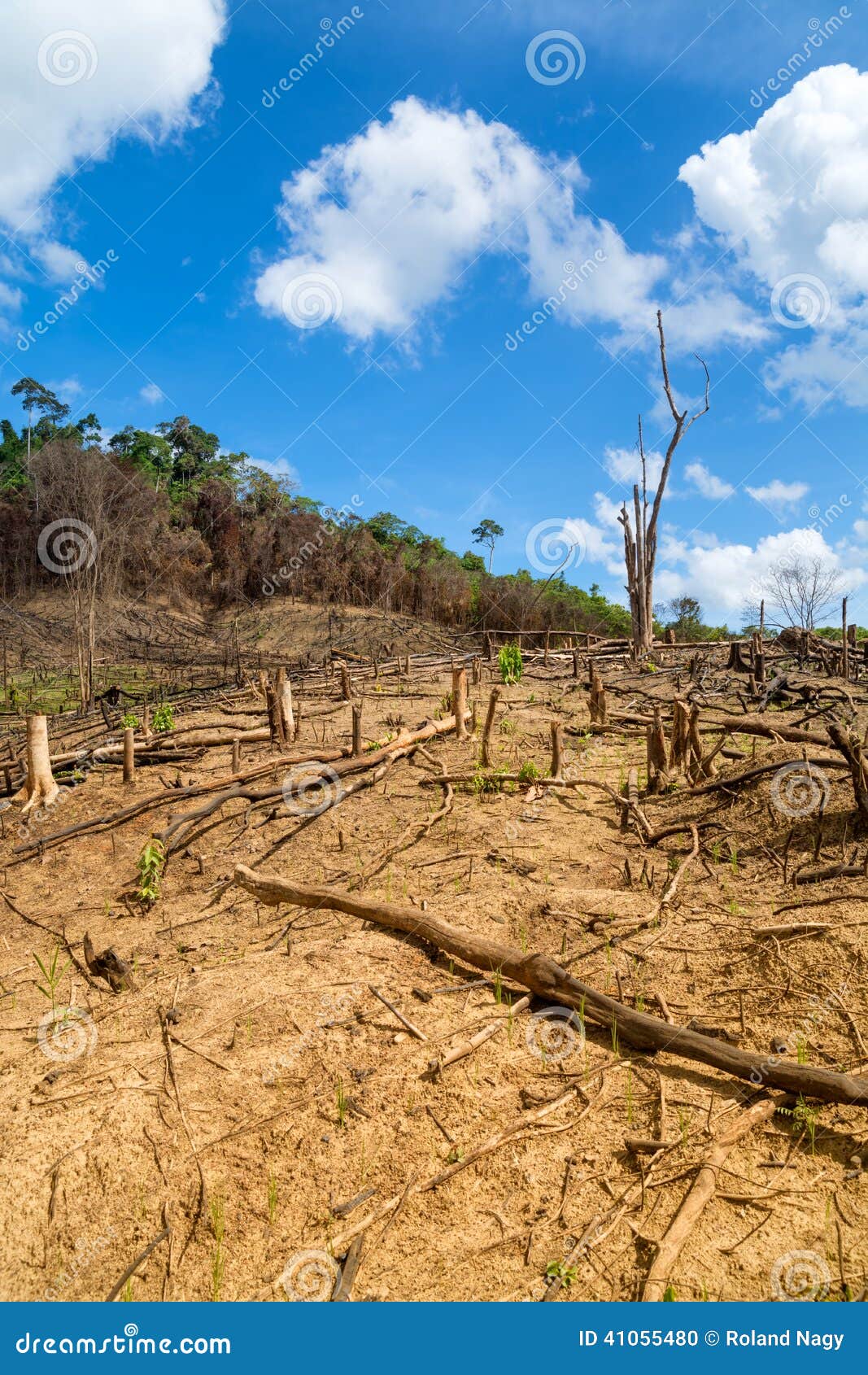 Deforestation In The Philippines Royalty-Free Stock Photography ...