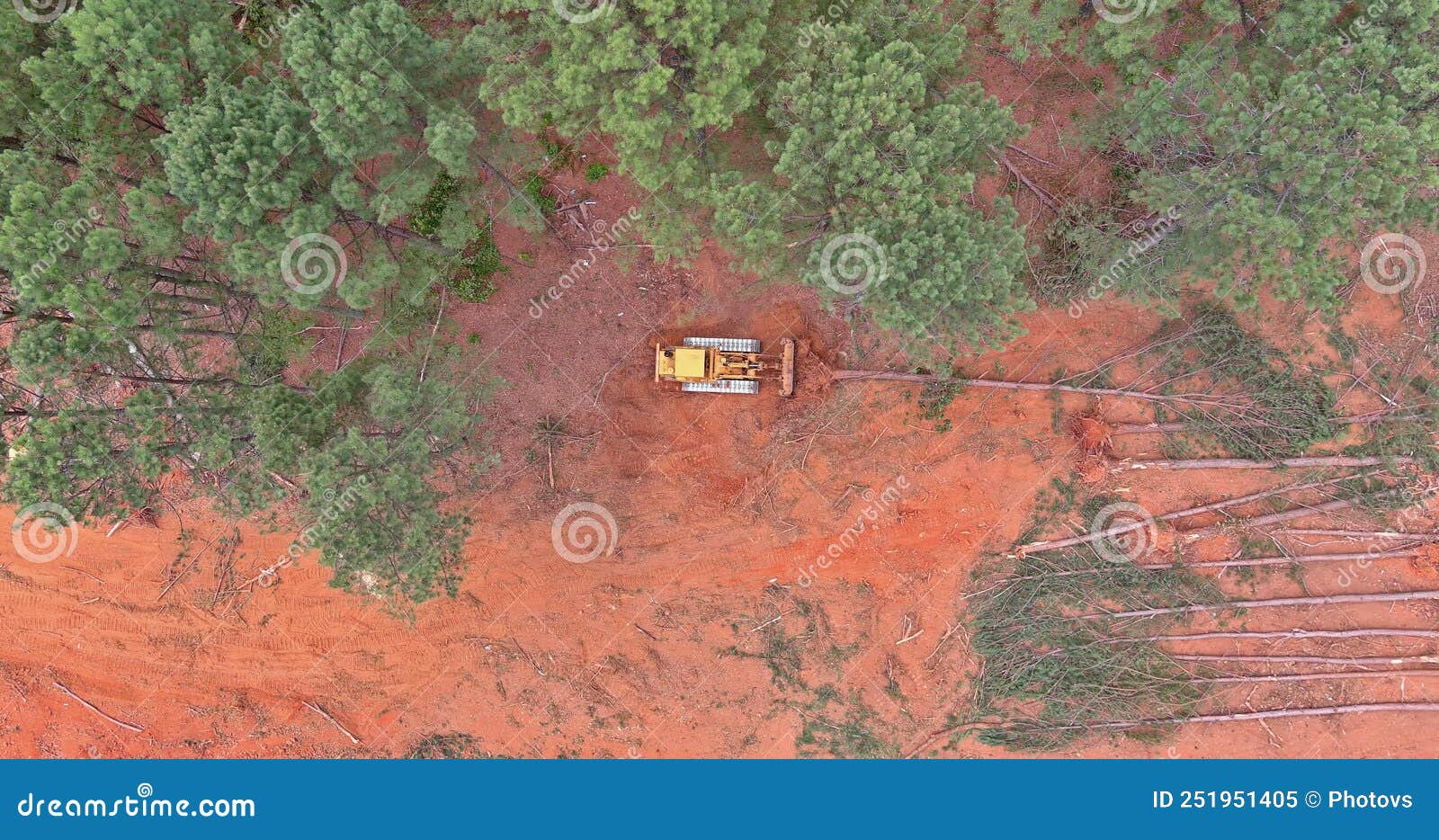 Deforestation and Preparation of Land for Construction Using a Dozer To ...