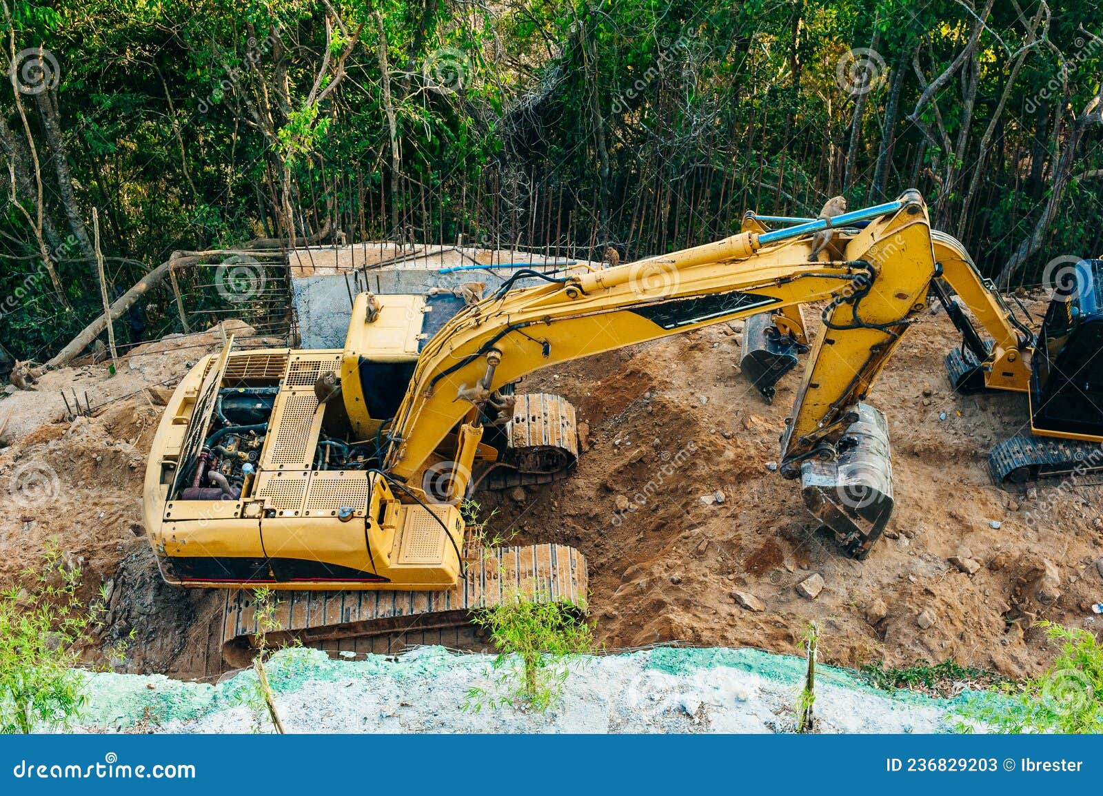Deforestation. JCB Digger In A Forest Editorial Photo | CartoonDealer ...