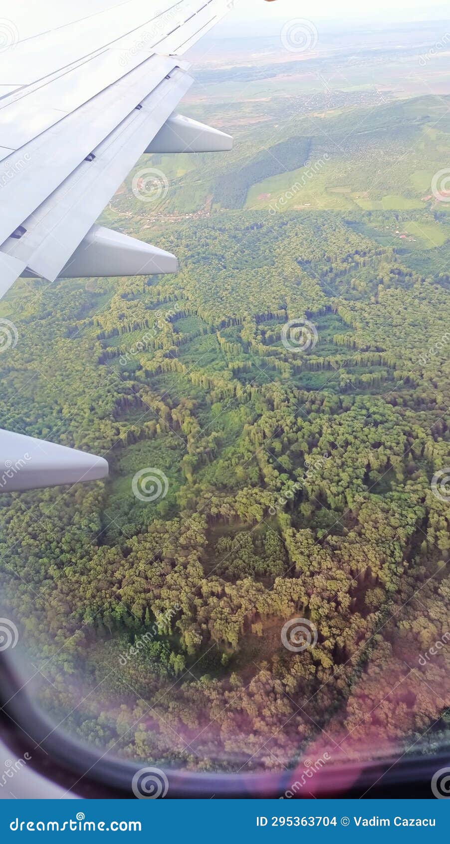 Deforestation in Romania: Bird S Eye View Stock Photo - Image of ...