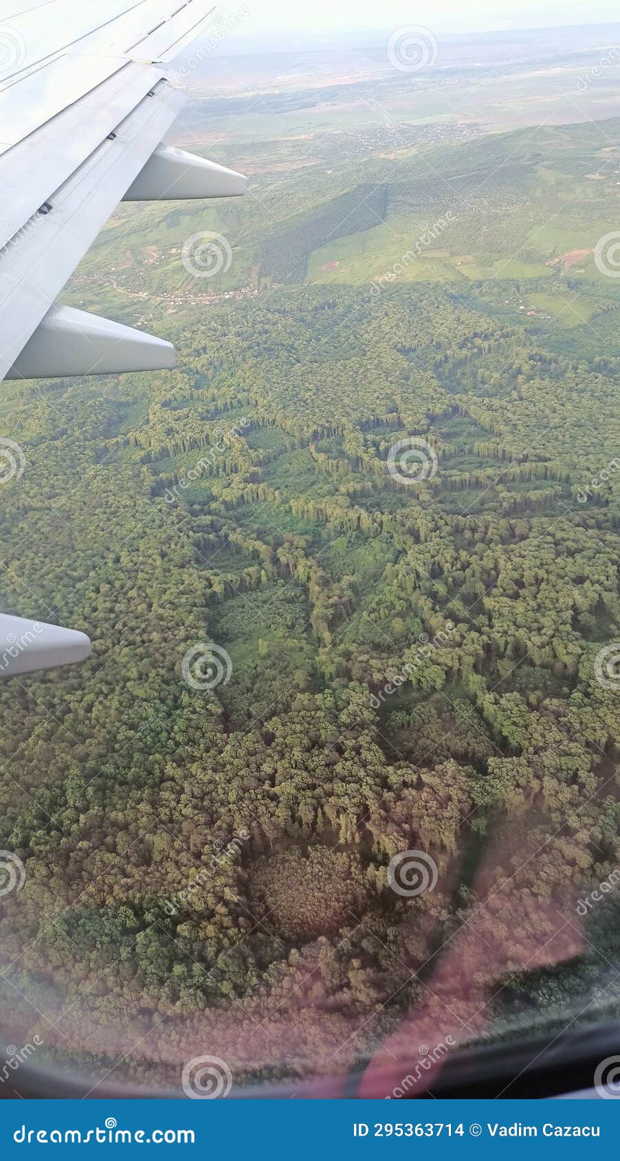 Deforestation in Romania: Bird S Eye View Stock Photo - Image of ...