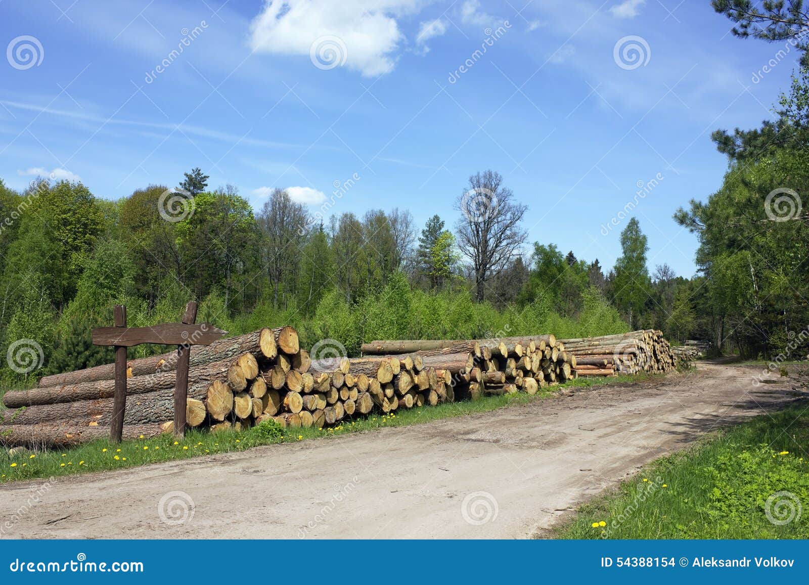 Deforestation stock photo. Image of landscape, industry - 54388154