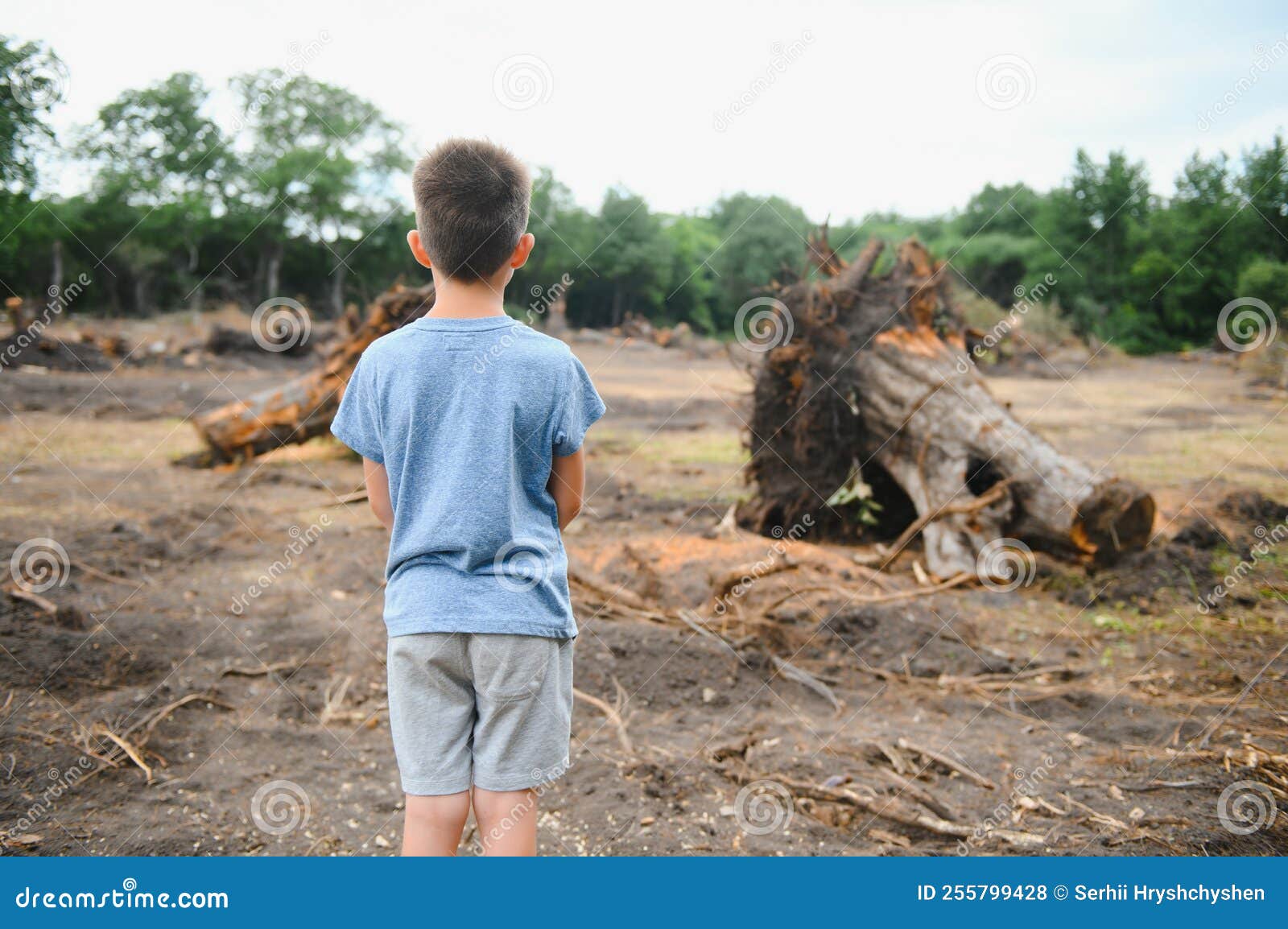 Deforestation a Sad Boy Stands in the Middle of a Cut Forest. Stock ...
