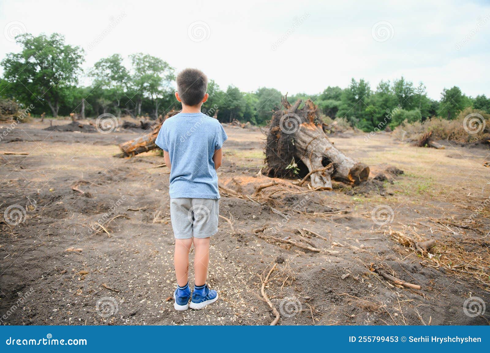 Deforestation a Sad Boy Stands in the Middle of a Cut Forest. Stock ...