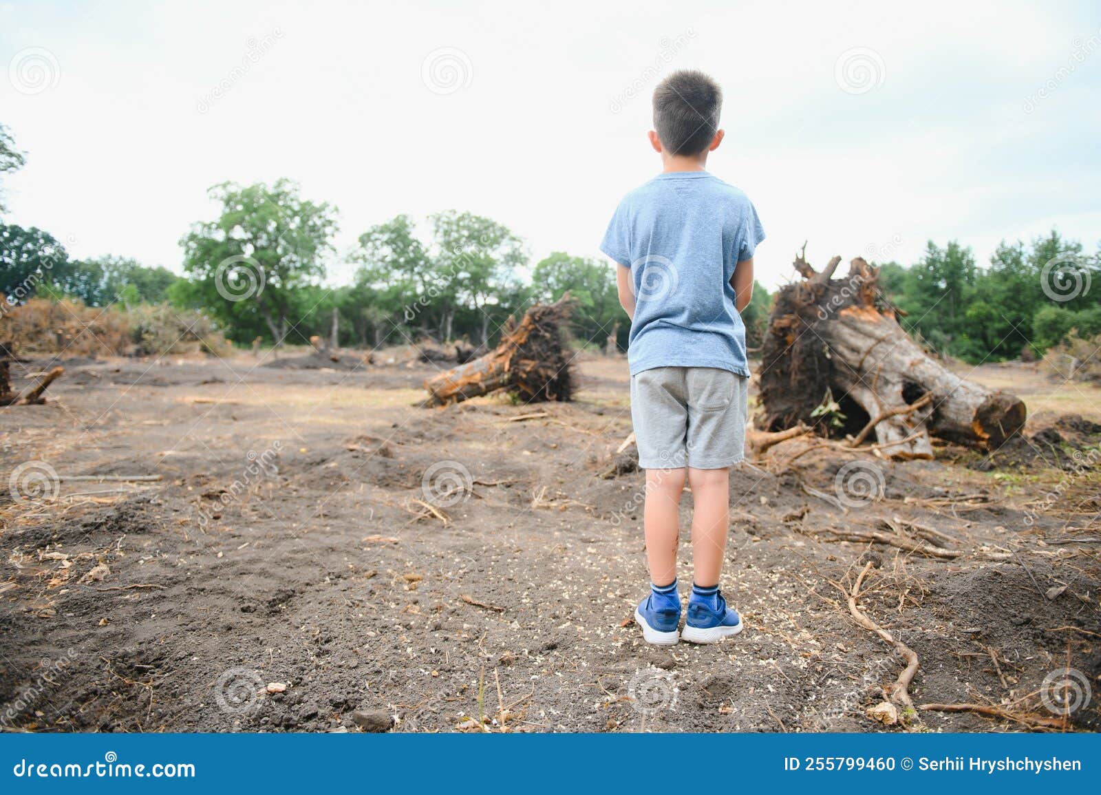 Deforestation a Sad Boy Stands in the Middle of a Cut Forest. Stock ...