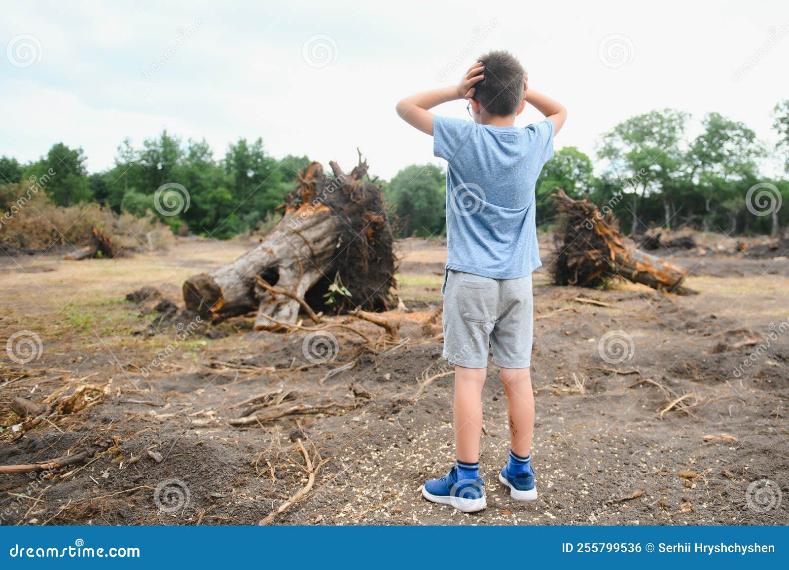 Deforestation a Sad Boy Stands in the Middle of a Cut Forest. Stock ...