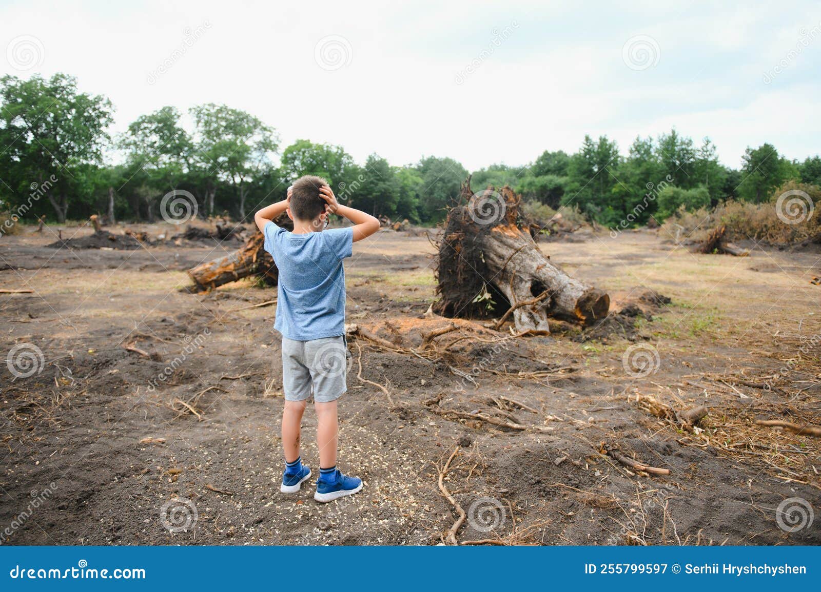 Deforestation a Sad Boy Stands in the Middle of a Cut Forest. Stock ...