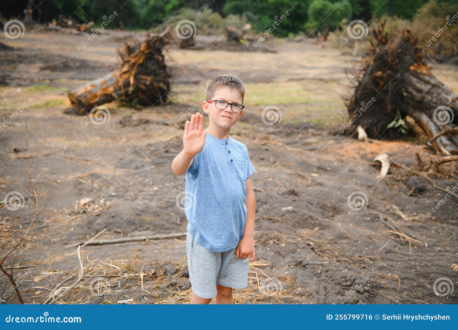 Deforestation a Sad Boy Stands in the Middle of a Cut Forest. Stock ...