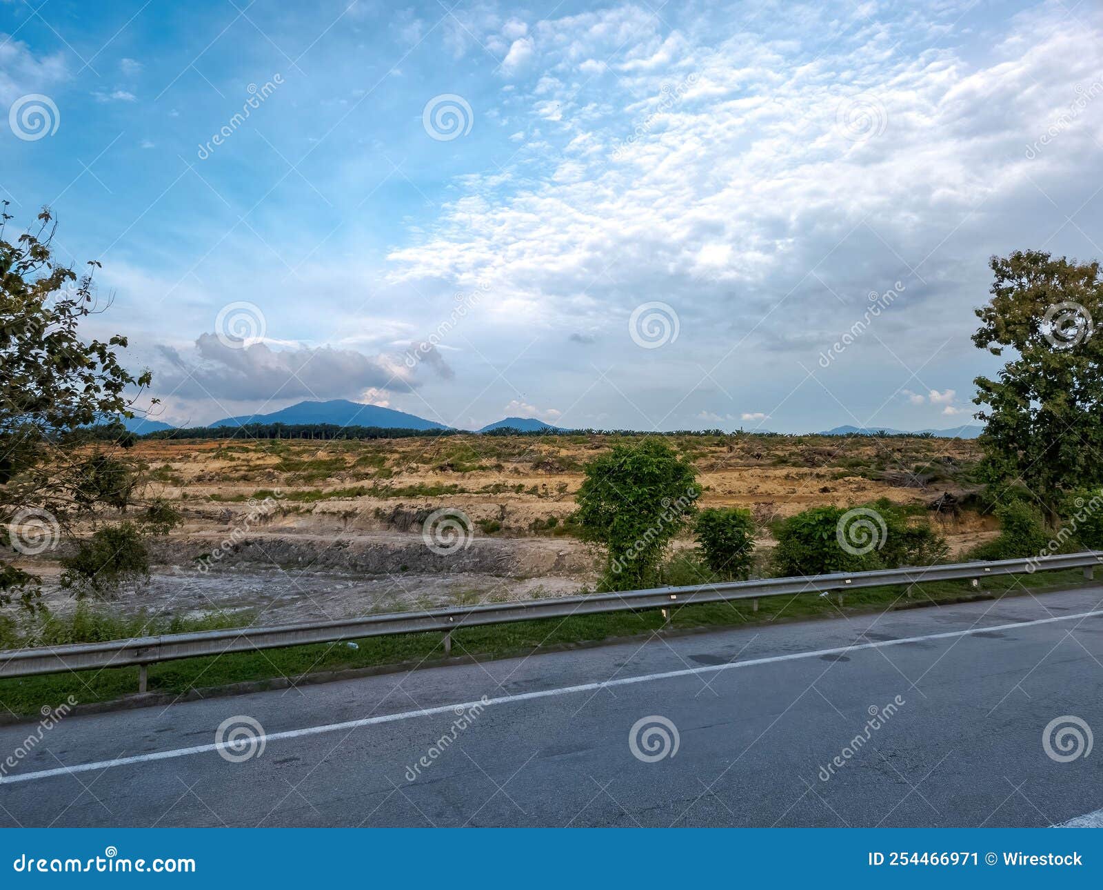 Deforestation. Scarred Earth Where Tropical Rain Forest Has Been ...