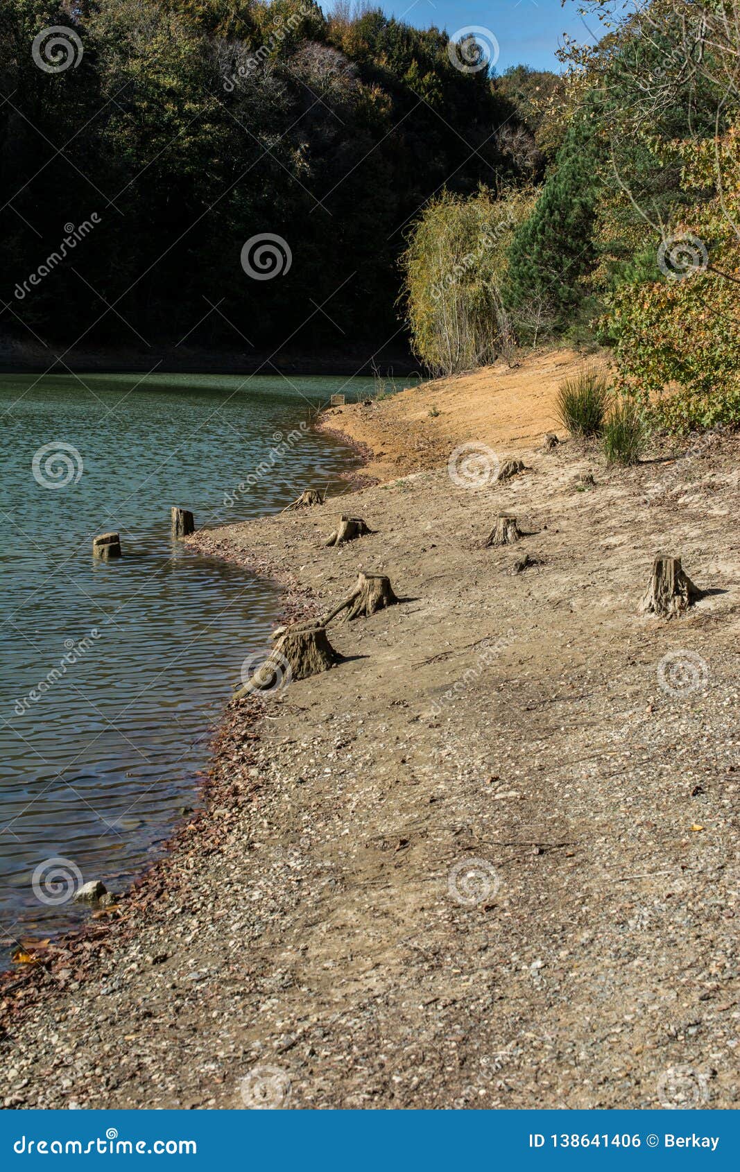 Deforestation. Stump of Tree after Cutting Forest Stock Photo - Image ... Deforestation. Stump of Tree after Cutting Forest Stock Photo - Image ...