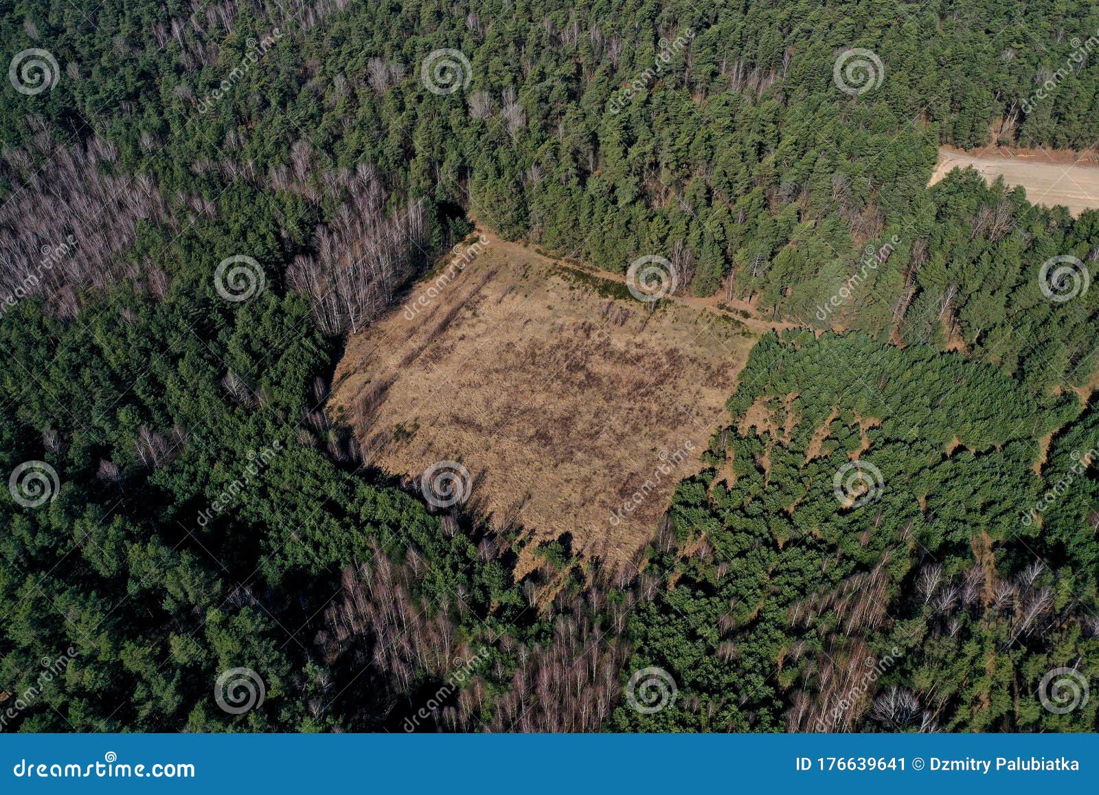 Deforestation Top View Aerial Photography from a Drone Stock Image ...