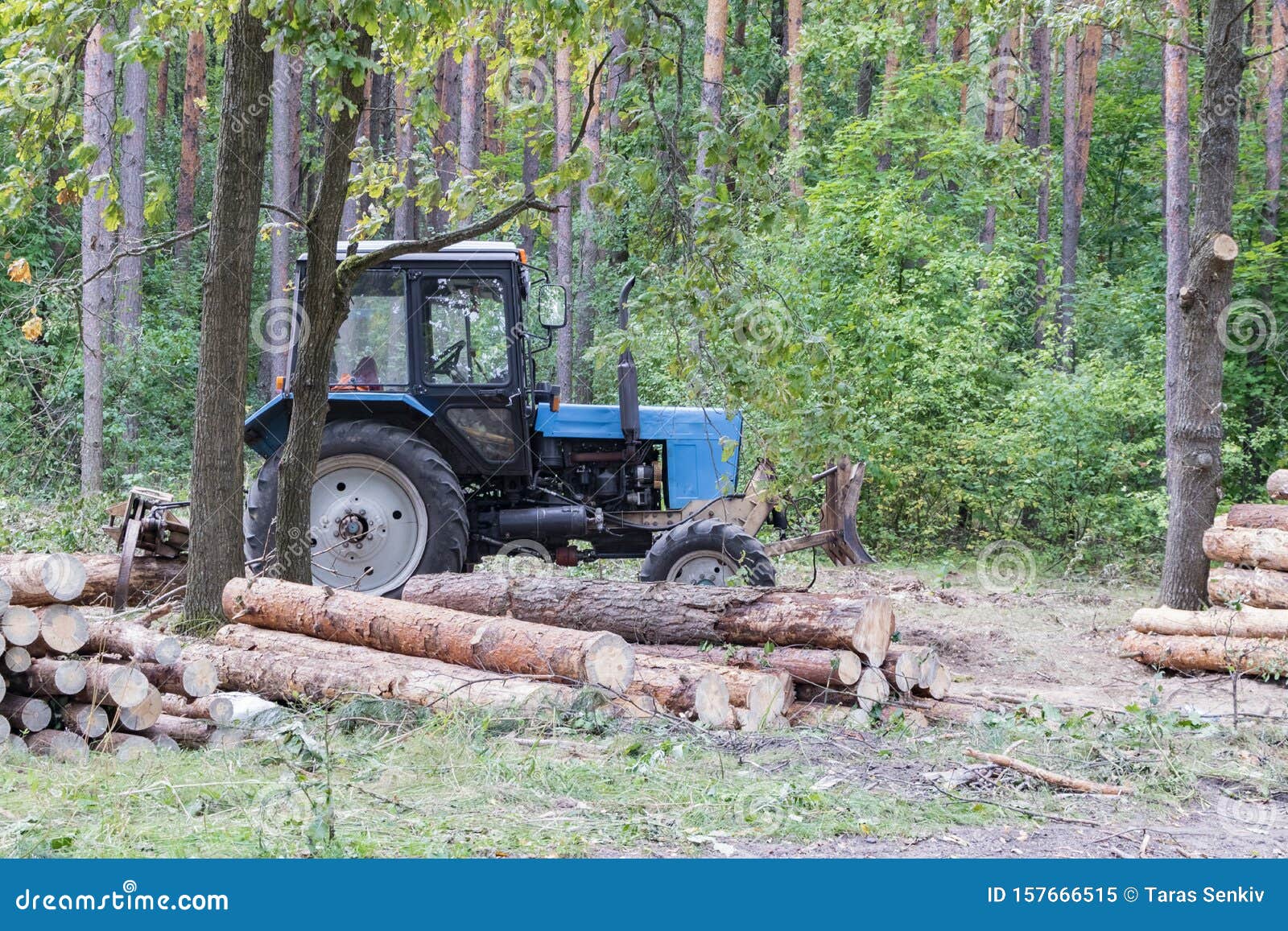Industrial Deforestation by Forestry Workers Using Machinery Stock ...