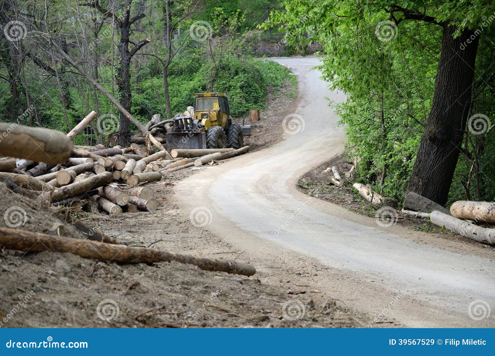 Deforestation stock image. Image of rural, pile, horizontal - 39567529