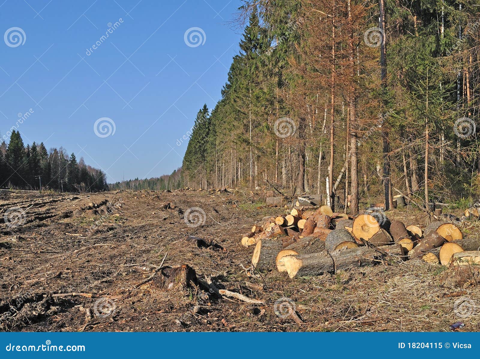 Deforested Area with Chock S Piles Stock Image - Image of resource ...