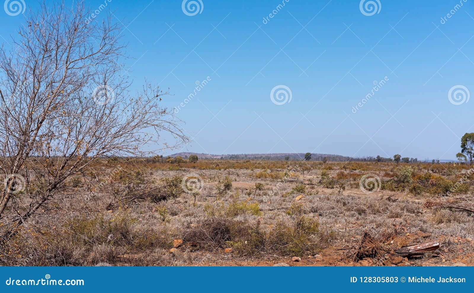 Deforested Land in Australia Stock Image - Image of horizon, country ...