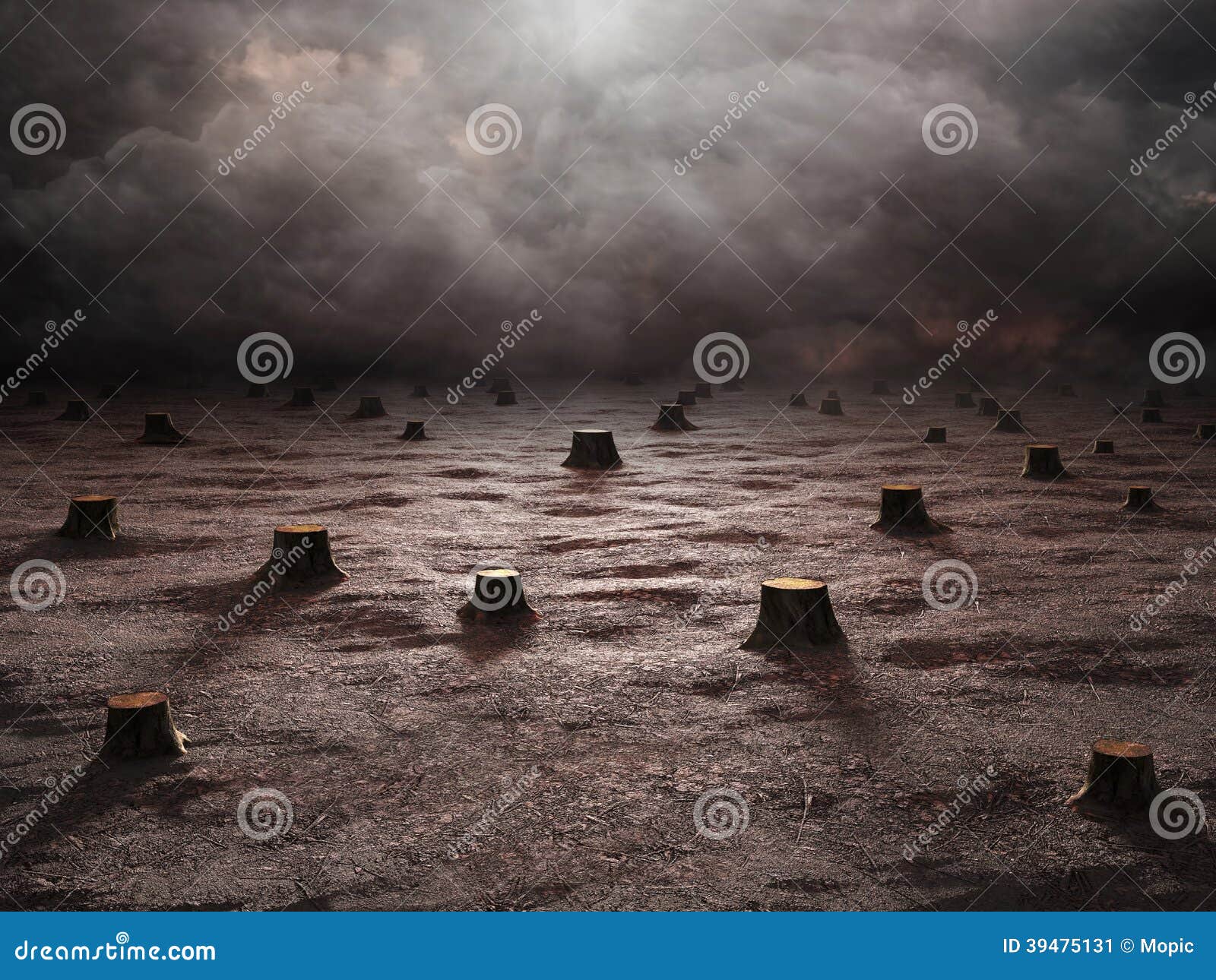Deforested landscape stock image. Image of ecologic, land - 39475131