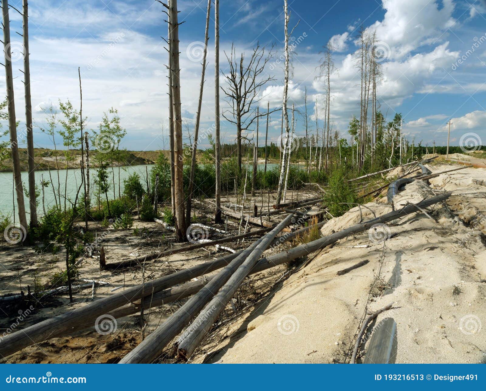 Deforestration. the Impact of the Extractive Industry on the ...