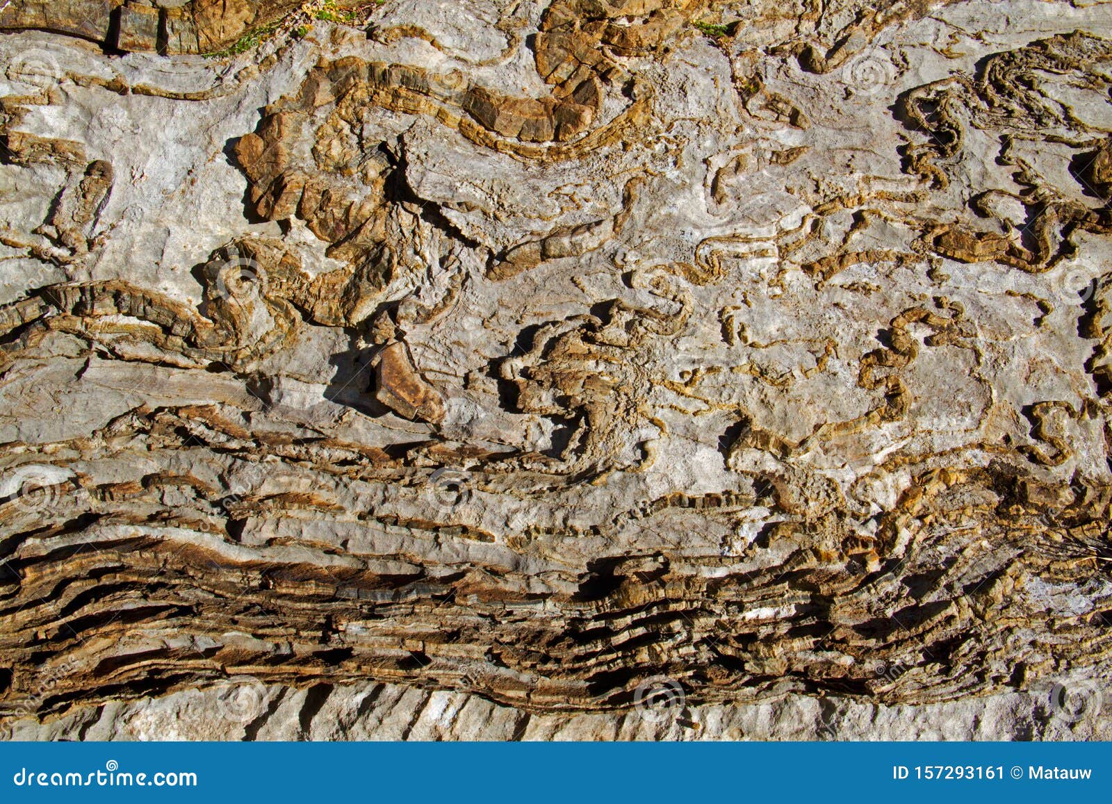 Deformed, Curved Layers in Rock Stock Image - Image of stone, strata ...