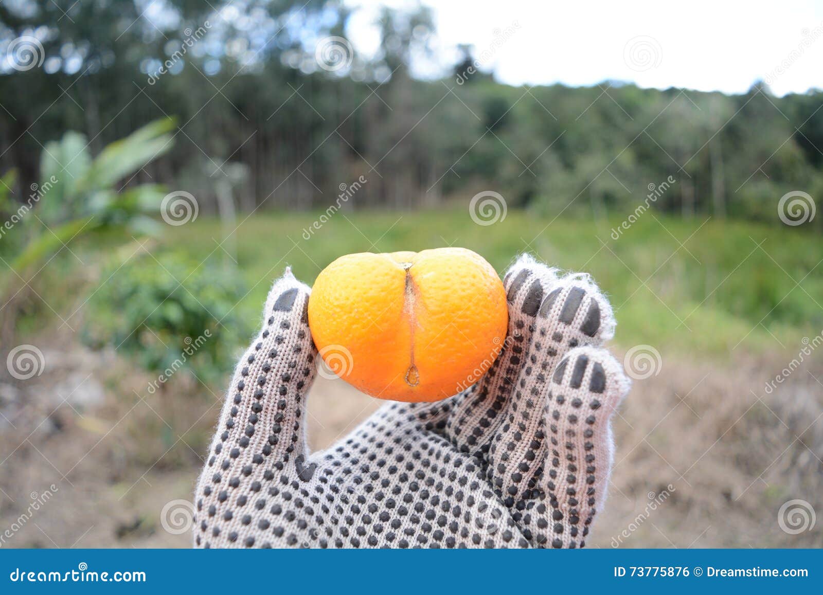 Deformed orange stock photo. Image of mountains, deformed - 73775876
