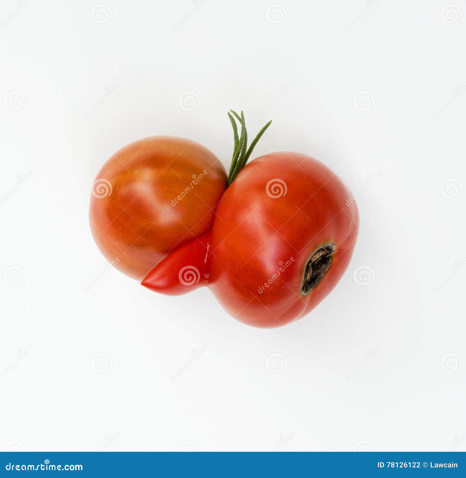 Deformed Tomatoes stock photo. Image of foodstuff, background - 78126122
