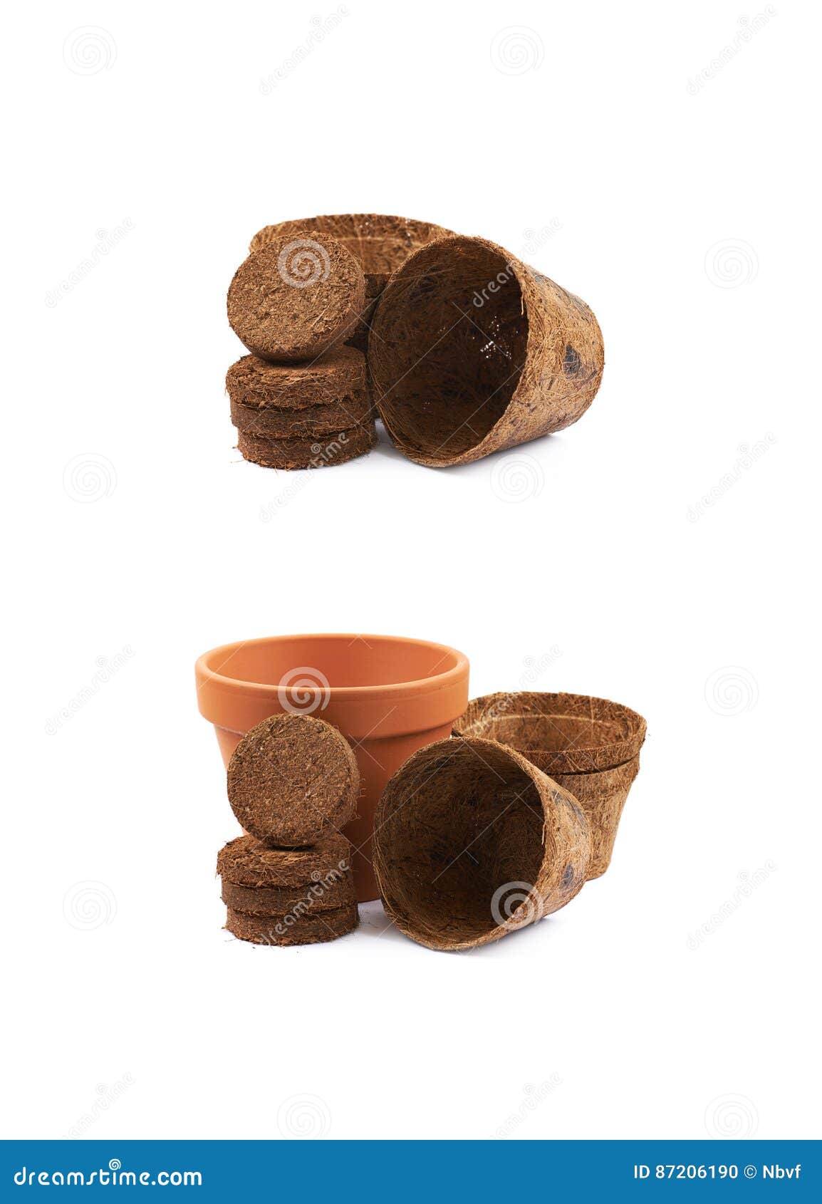 Degradable Coconut Pot Isolated Stock Photo - Image of natural, green ...