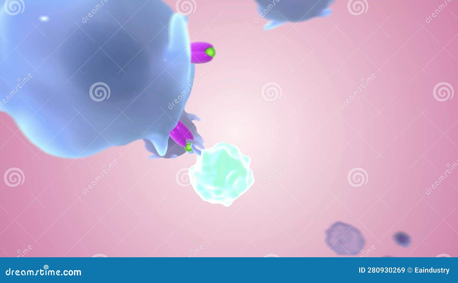 Degranulation of Mast Cells and Basophils Stock Video - Video of ...