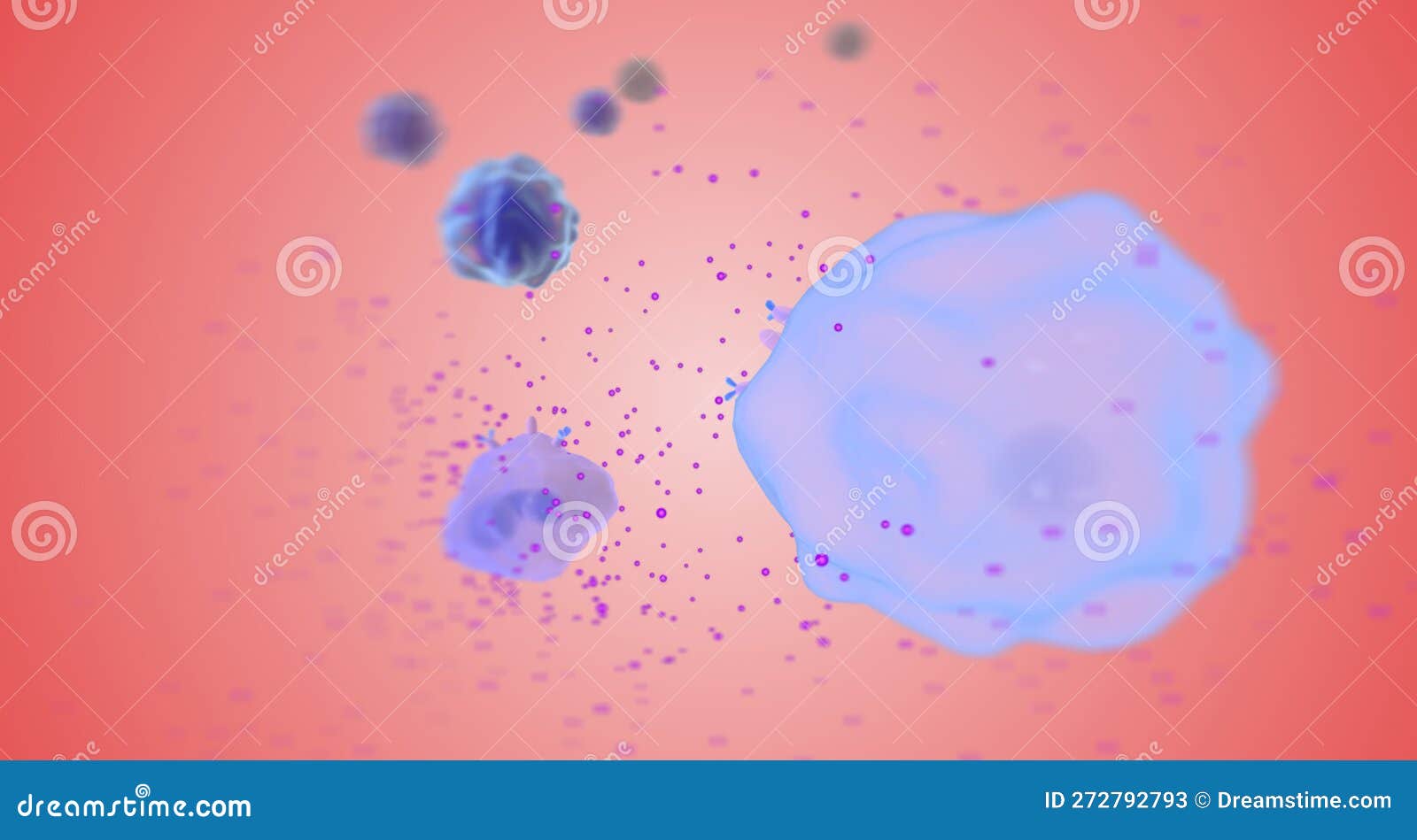 Degranulation of Mast Cells and Basophils Stock Illustration ...