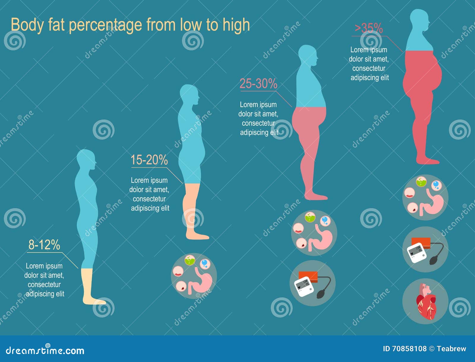 The Degree Of Obesity. Vector Illustration Stock Vector - Image: 70858108 The Degree Of Obesity. Vector Illustration Stock Vector - Image: 70858108