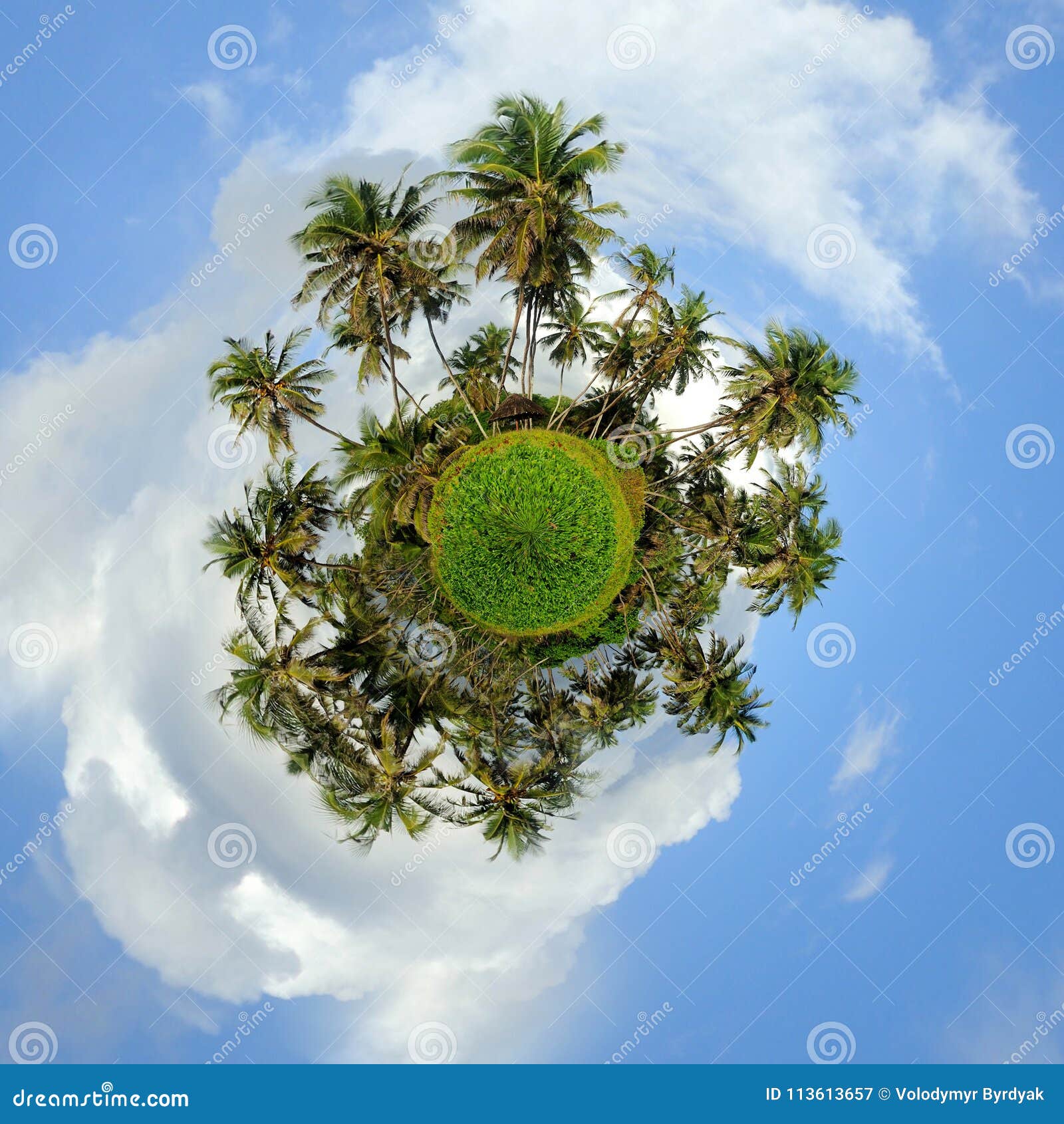 360 Degree View of Palm Tree Stock Image - Image of plant, planet ...