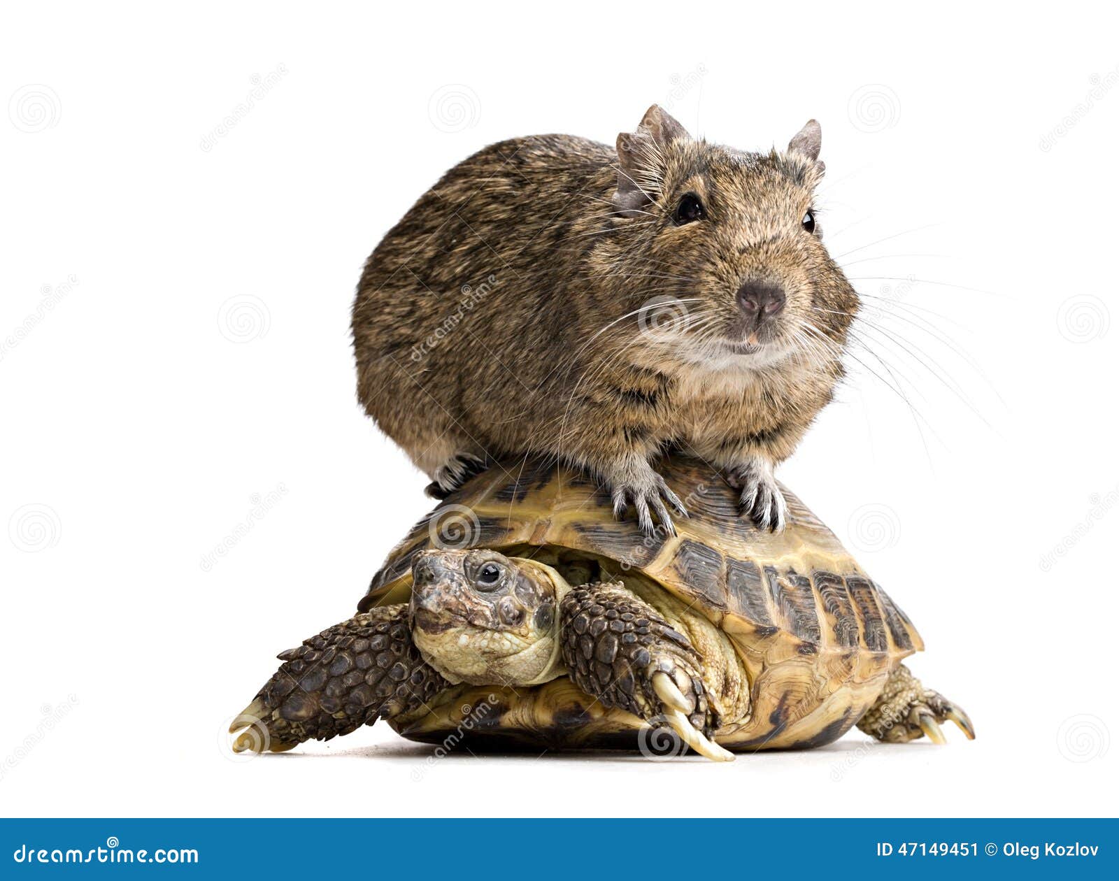 Hamza Tzortzis with some more nonsense. : r/atheism