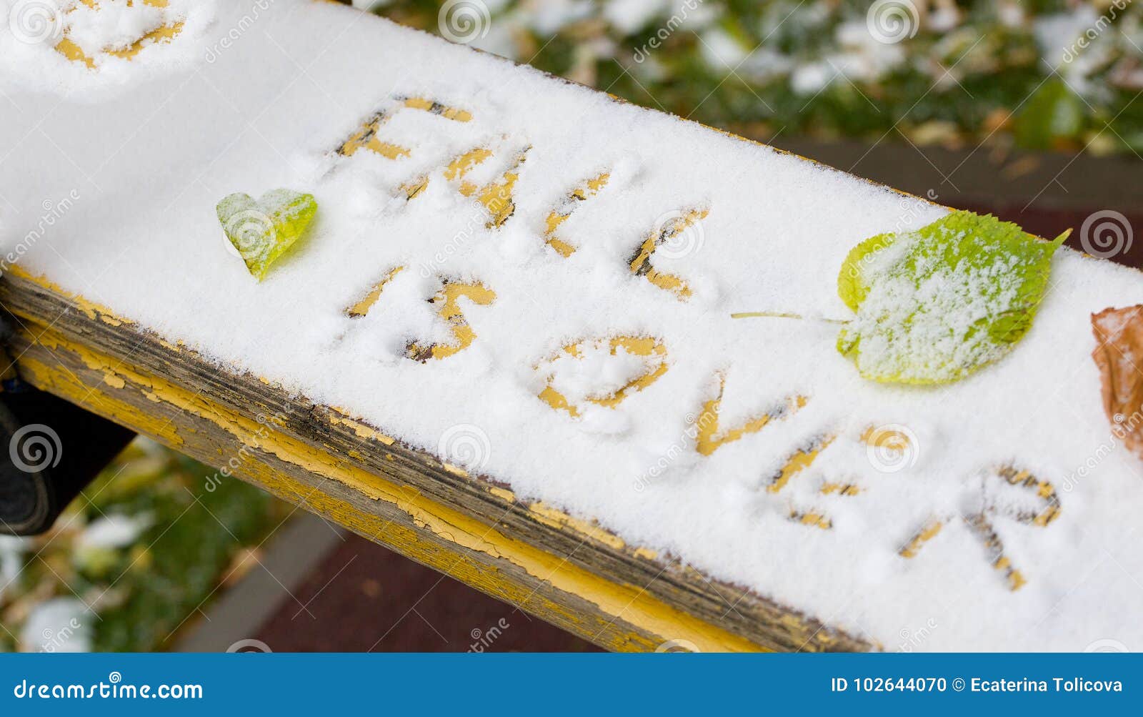 Winter has arrived stock photo. Image of perspective - 102644070